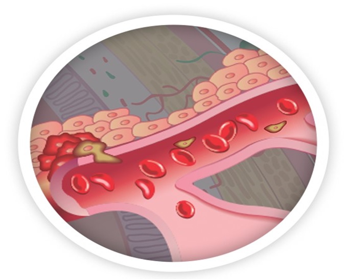 crc-protect - CellMax Life